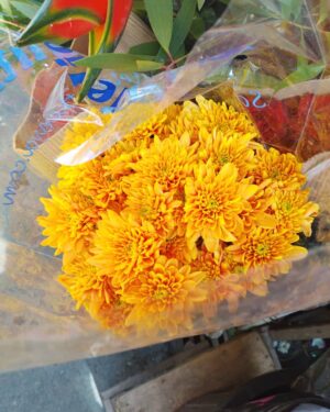 Bouquets de Fleur Dakar, Sénégal - Pépinière Sénégal