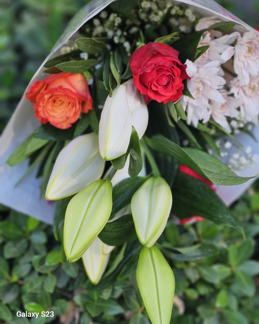 Bouquet de Fleurs Rachelle à Dakar - Pépinière Sénégal